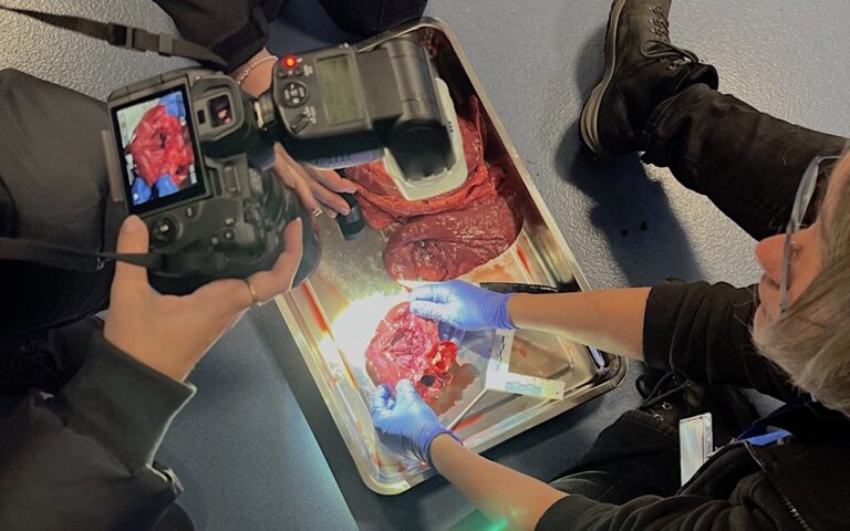 Your Path to a CSI Role in the UK Police